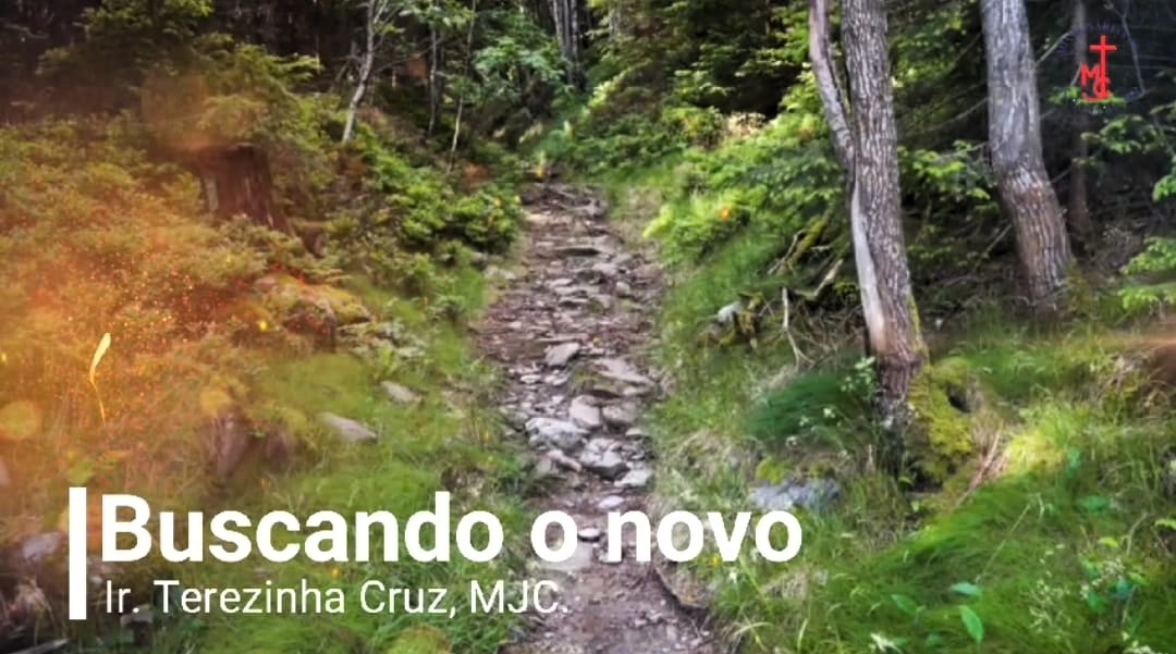 Buscando o Novo – Ir. Terezinha Cruz, MJC – Missionárias de Jesus ...